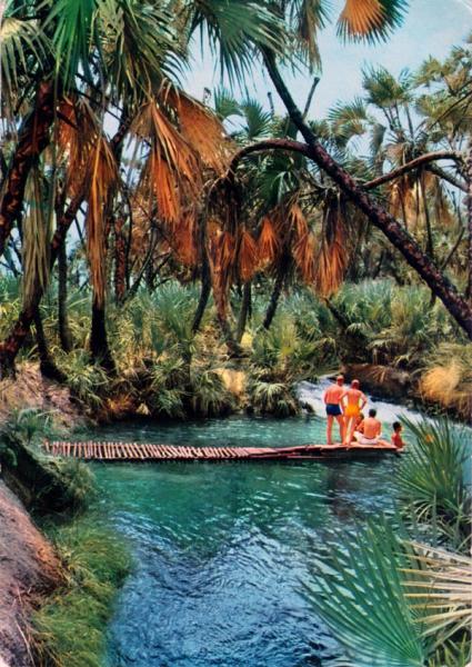 2-day Awash National Park Tour Package - Degu Omo Valley Tour